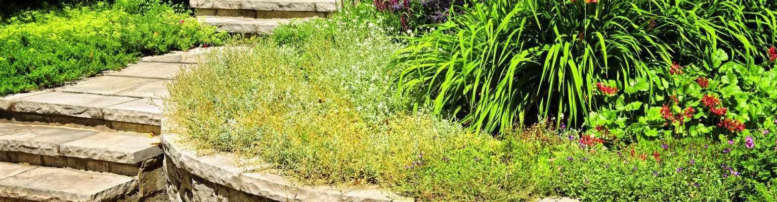 A&S Landscape & Design – Your premier commercial landscape maintenance ...